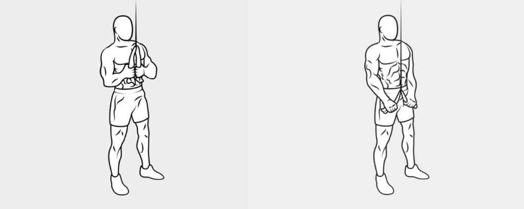 Tutti gli esercizi per i tricipiti: immagini esercizi palestra